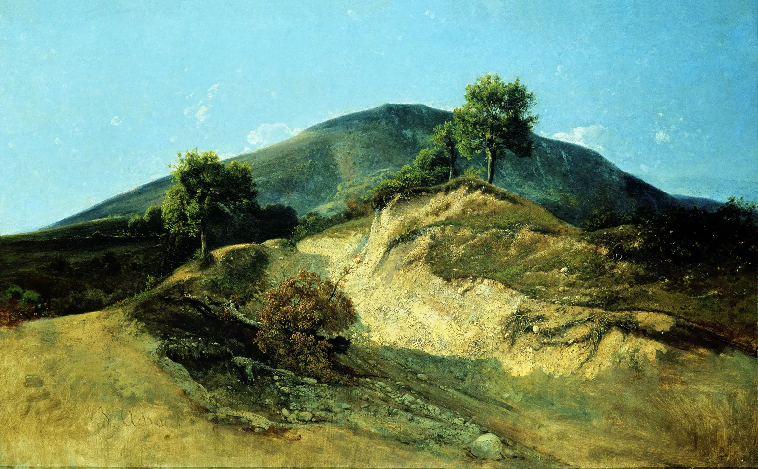 Jean Achard. Un paysagiste à l'école de la nature